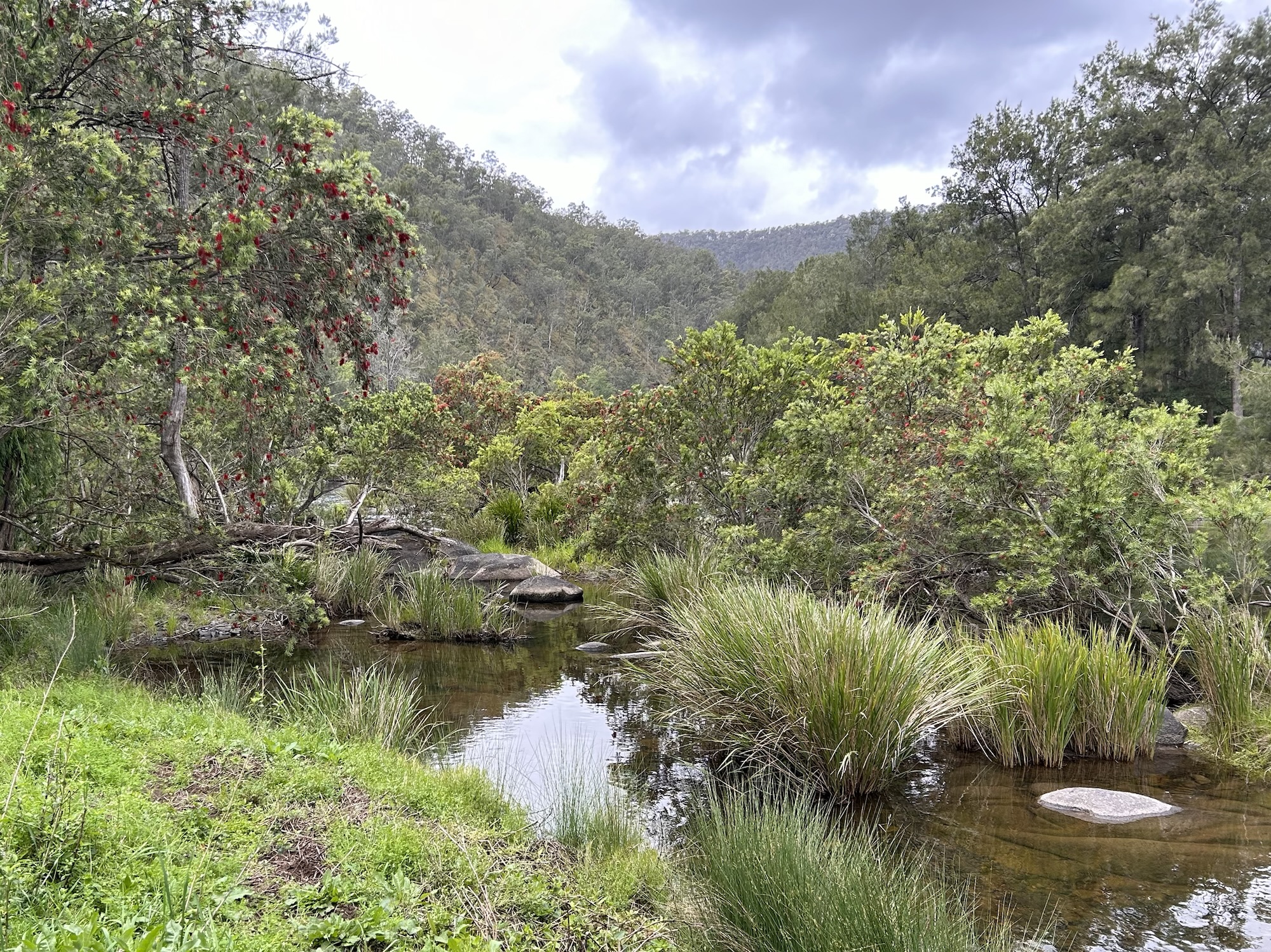 YoZenQi Holistic – Megen Hibbins – Feminine Embodiement Mentor